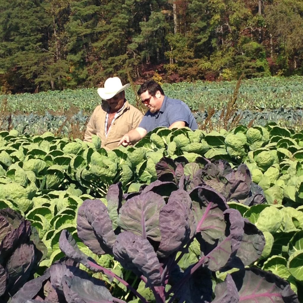 Flores Farm - Seasonal Roots