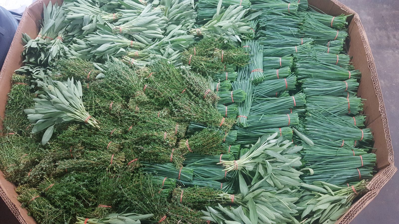 Flores Farm - Seasonal Roots