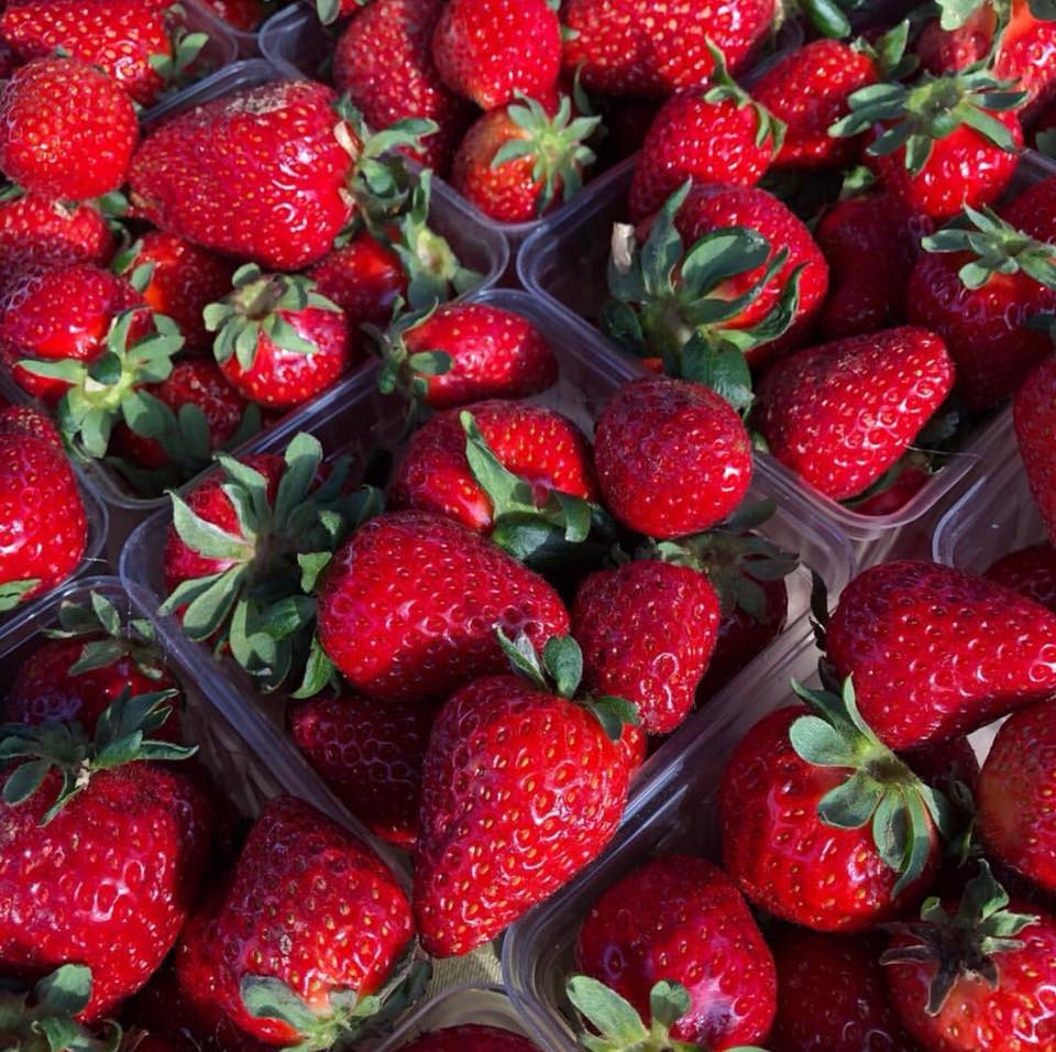 Agriberry - Seasonal Roots