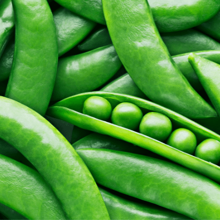 Seasonal Eating Guide: Spring Edition