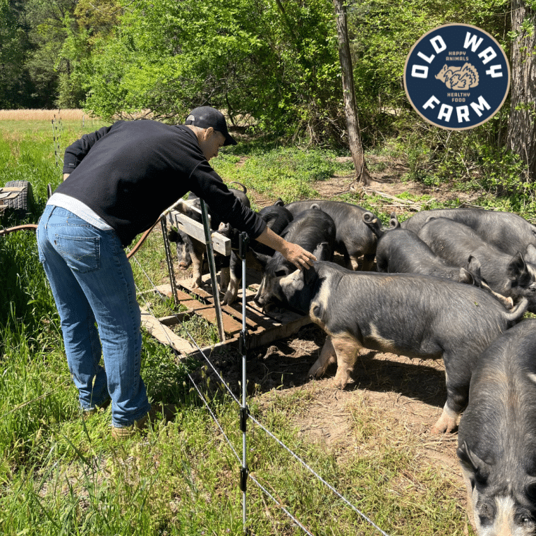 The Story of Old Way Farm - Seasonal Roots