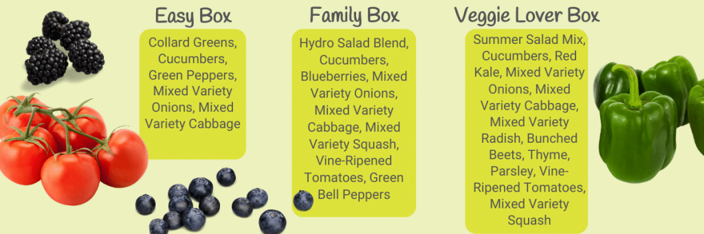 What We're Making with Ingredients from Our Boxes! - Seasonal Roots